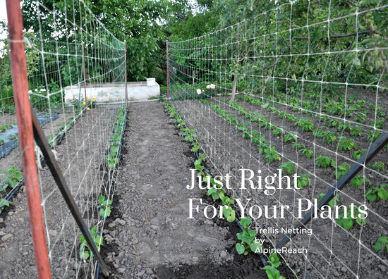 AlpineReach 5 ft x 350 ft Trellis Netting